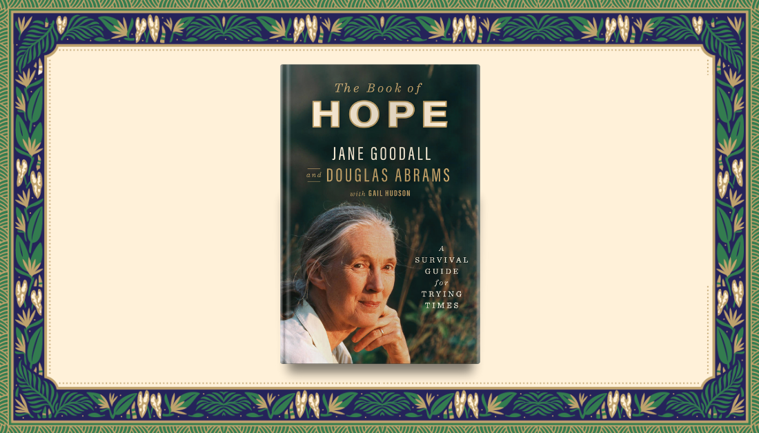 The Book of Hope | Celadon Books