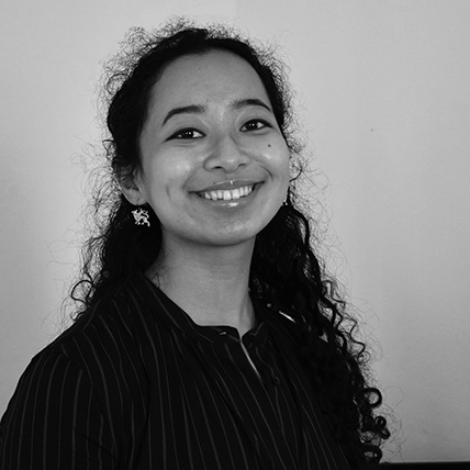 The Team | Celadon Books