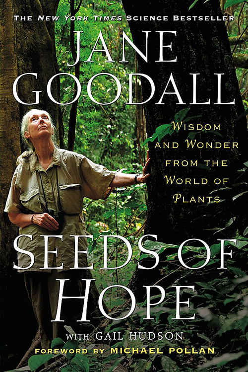 8 Inspiring Books By Jane Goodall | Celadon Books 8 Inspiring Books By Jane Goodall | Celadon Books