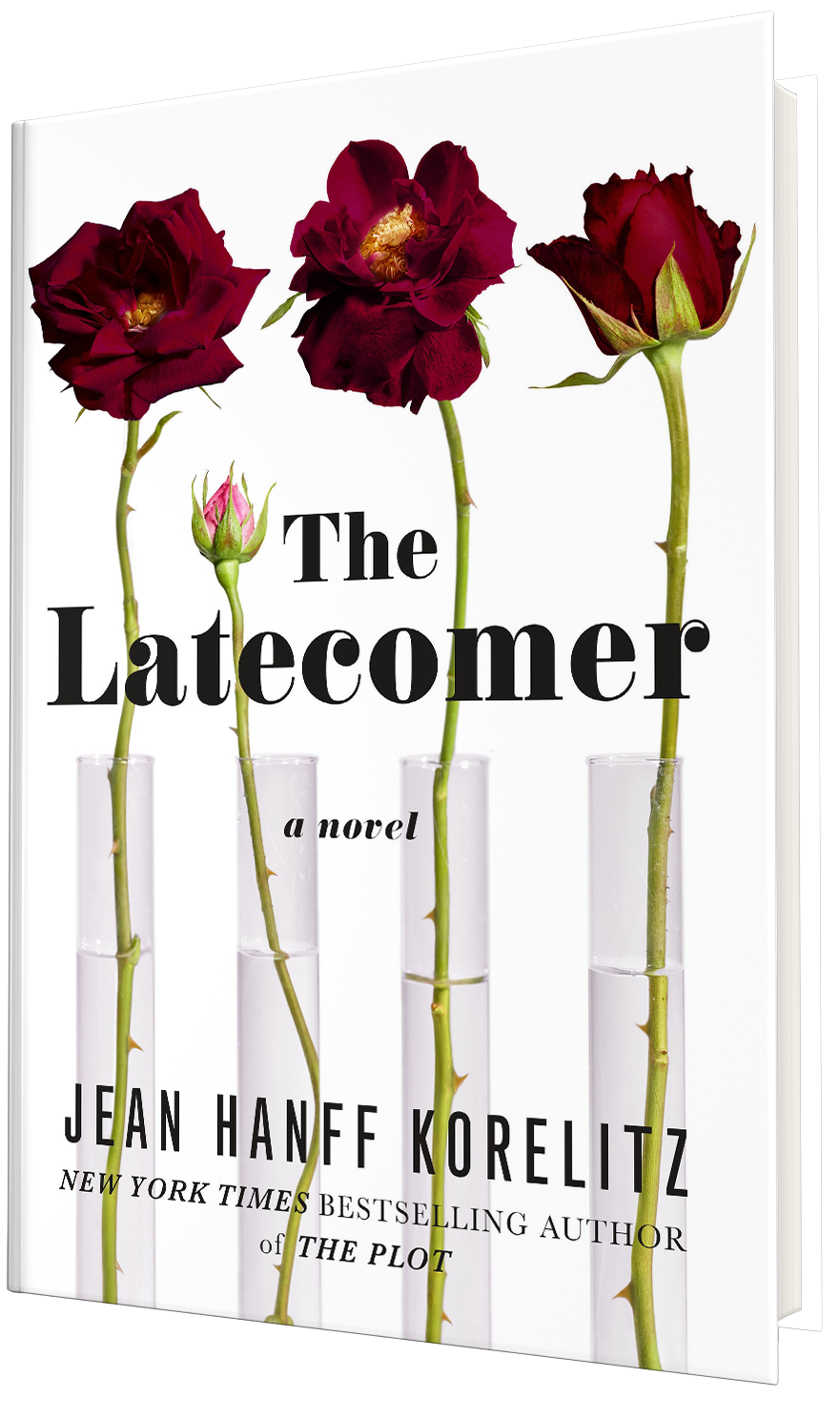 The Latecomer by Jean Hanff Korelitz - BookRiot - Celadon Books