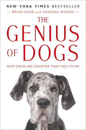 11 Must-Read Books About Dogs - Celadon Books