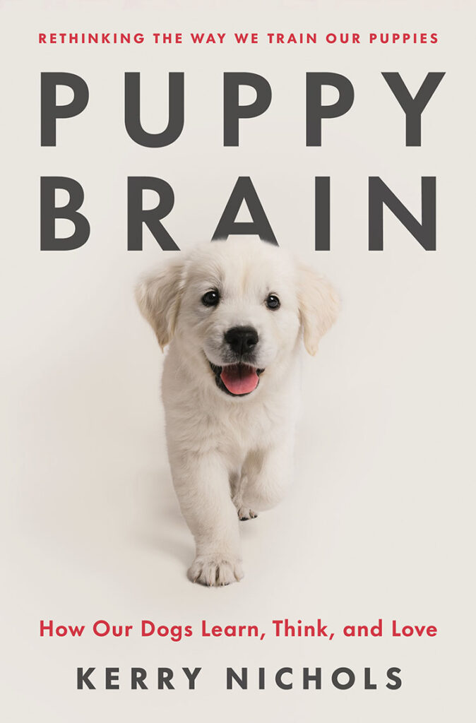 11 Must-Read Books About Dogs - Celadon Books